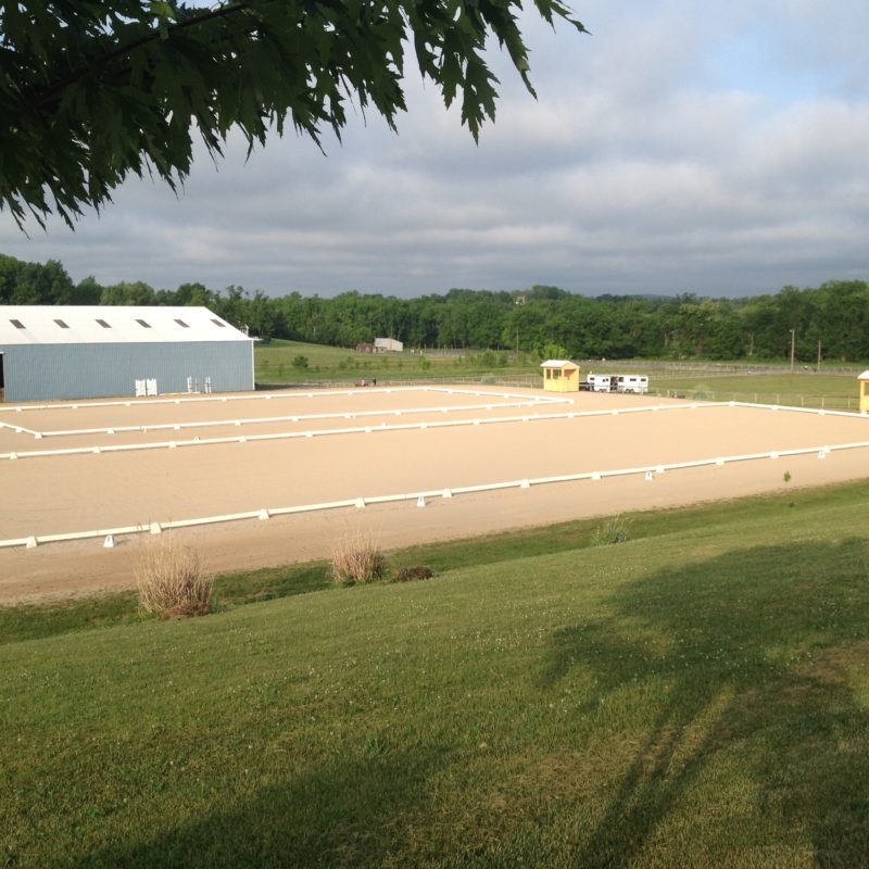 Dressage Shows – By Chance Farm