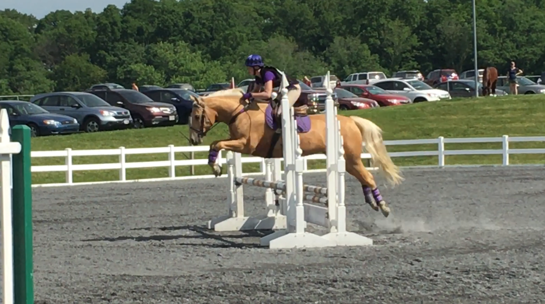 Lessons - By Chance Farm